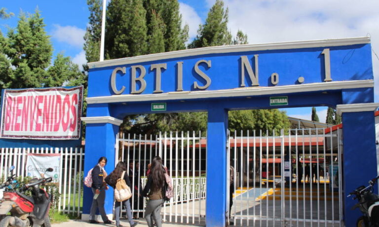 CBTIS y CETIS, las carreras que ofrecen y cuál deberías elegir
